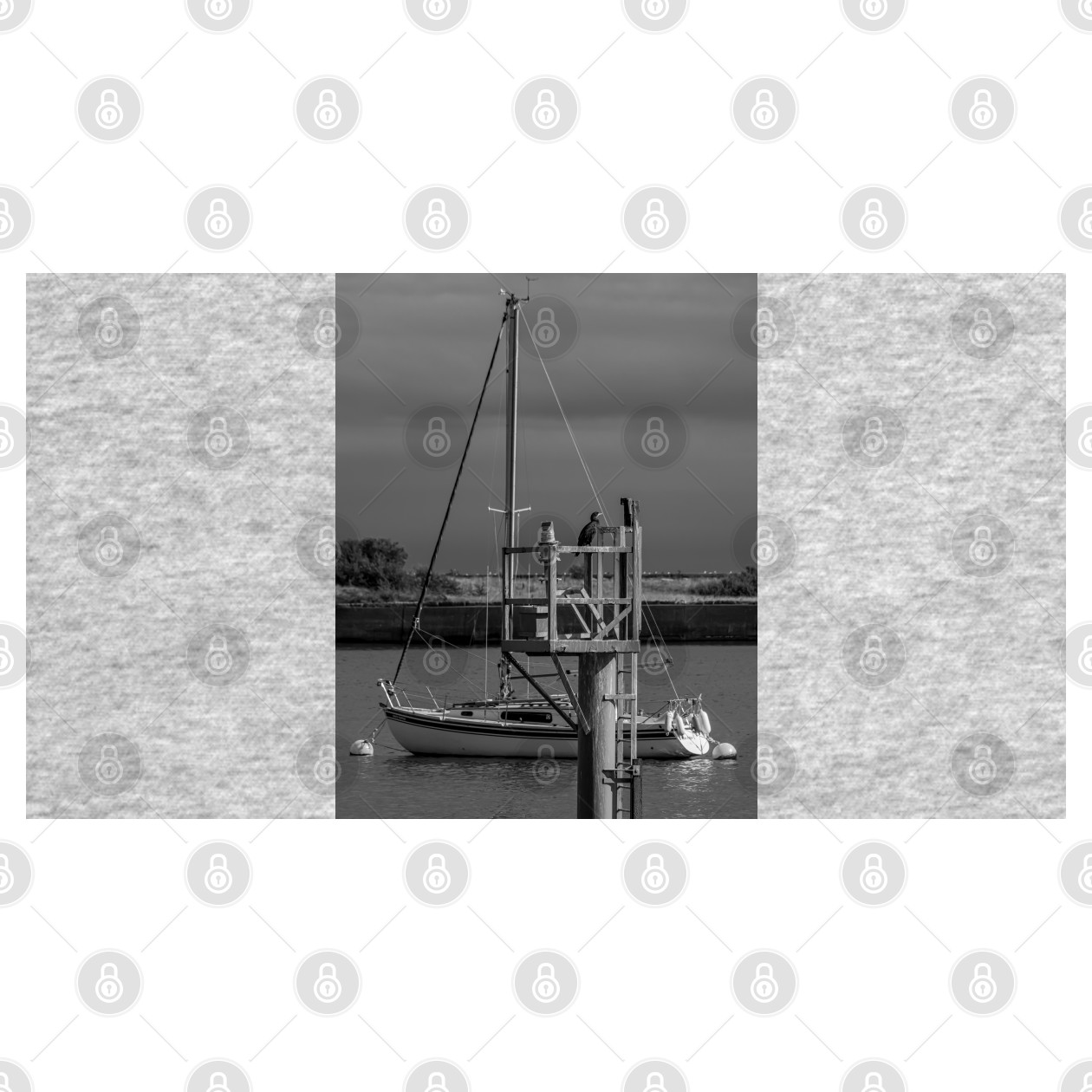 Cormorant On Watch - Monochrome - T-Shirt | TeePublic