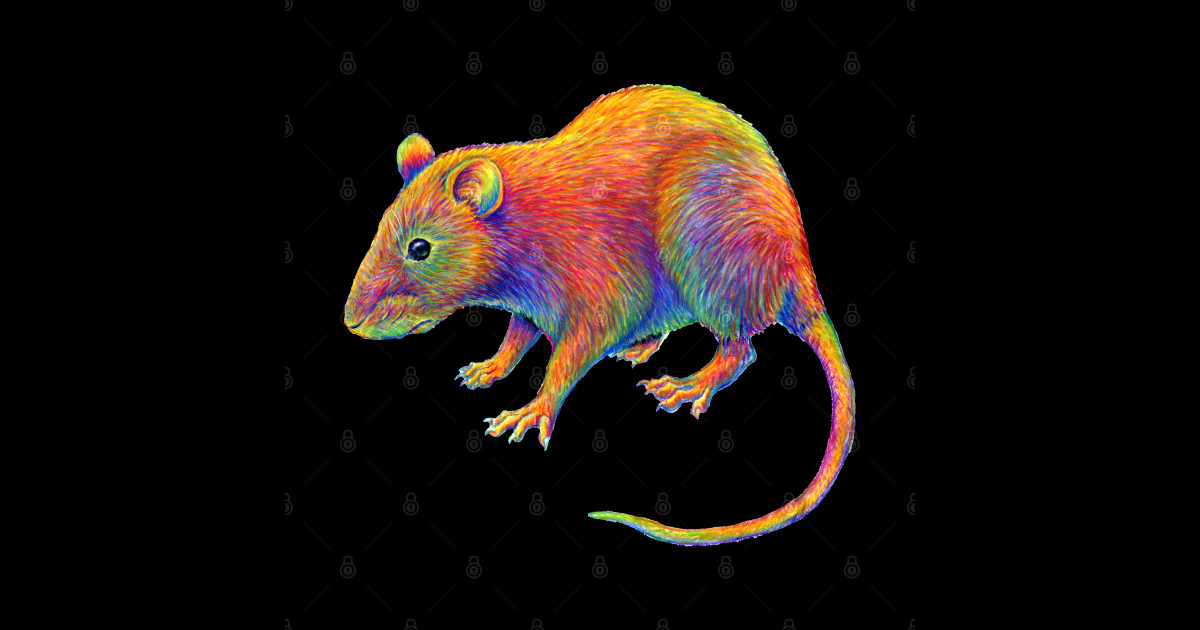 Psychedelic Rainbow Rat - Rat - T-Shirt | TeePublic