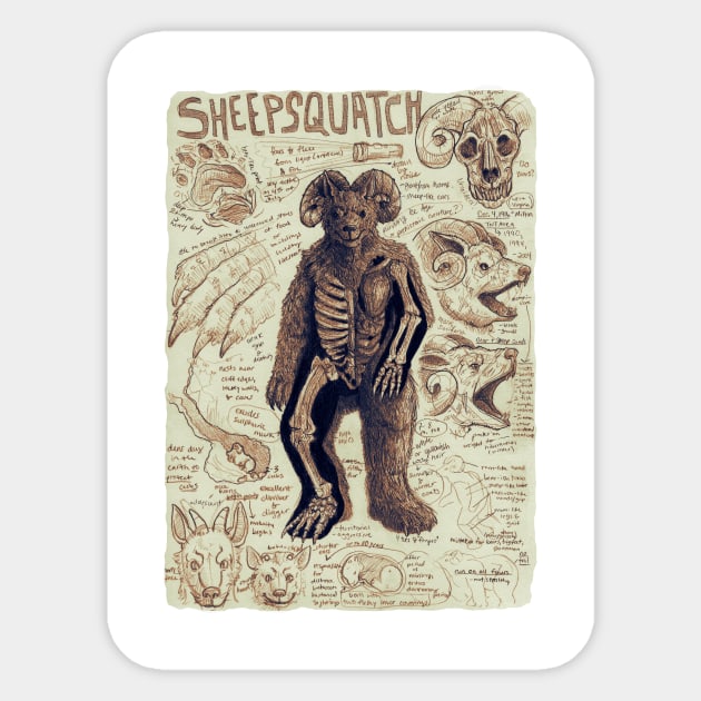 Sheepsquatch Study - Cryptid - Sticker | TeePublic