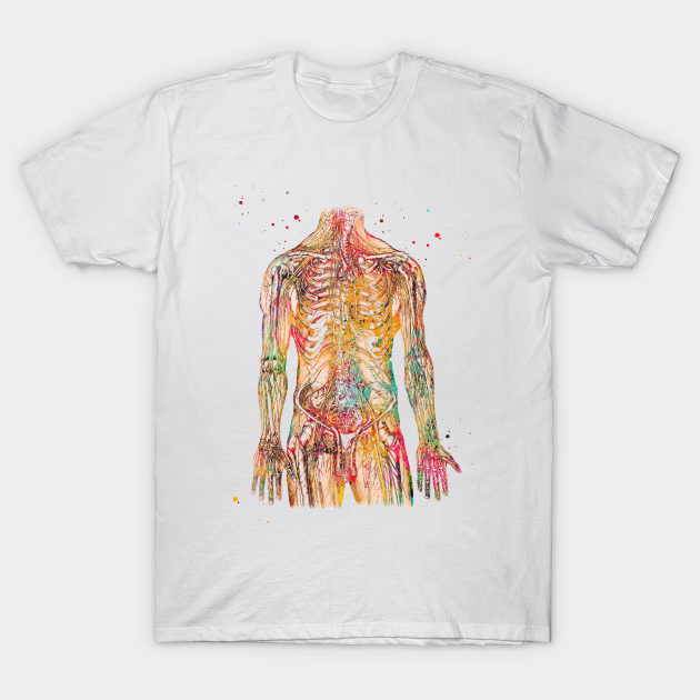 Human Body - Human Body - T-Shirt | TeePublic