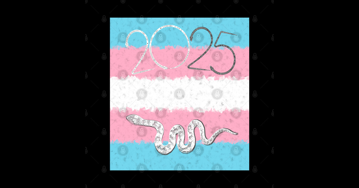 2025 White Grey Snake, Transgender Flag - 2025 White Grey Snake ...