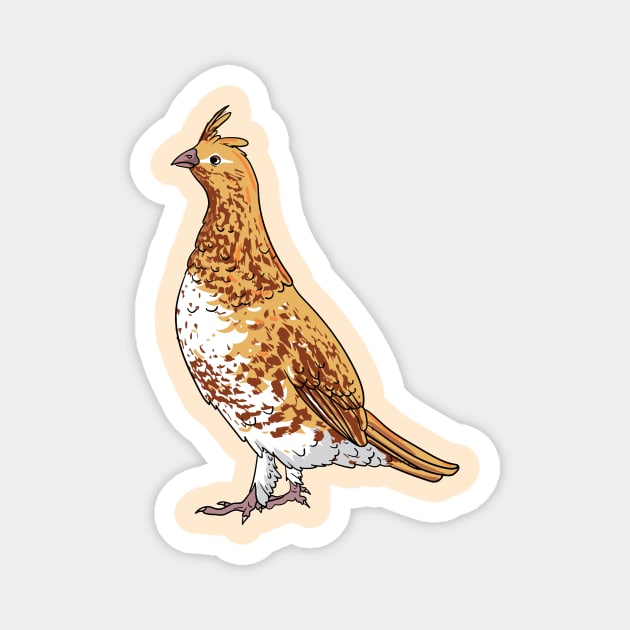 Ruffed Grouse State Bird of Pennsylvania - Ruffed Grouse - Magnet ...