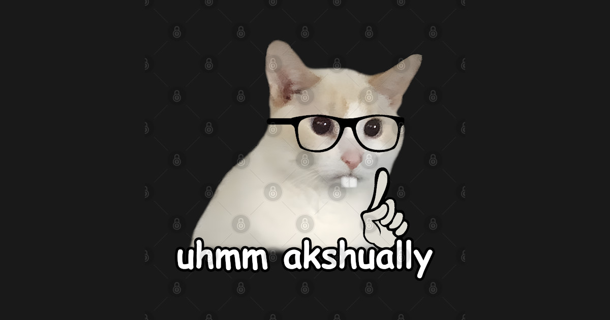 Um Actually Funny Nerd Cat Meme - Cat Meme - T-Shirt | TeePublic