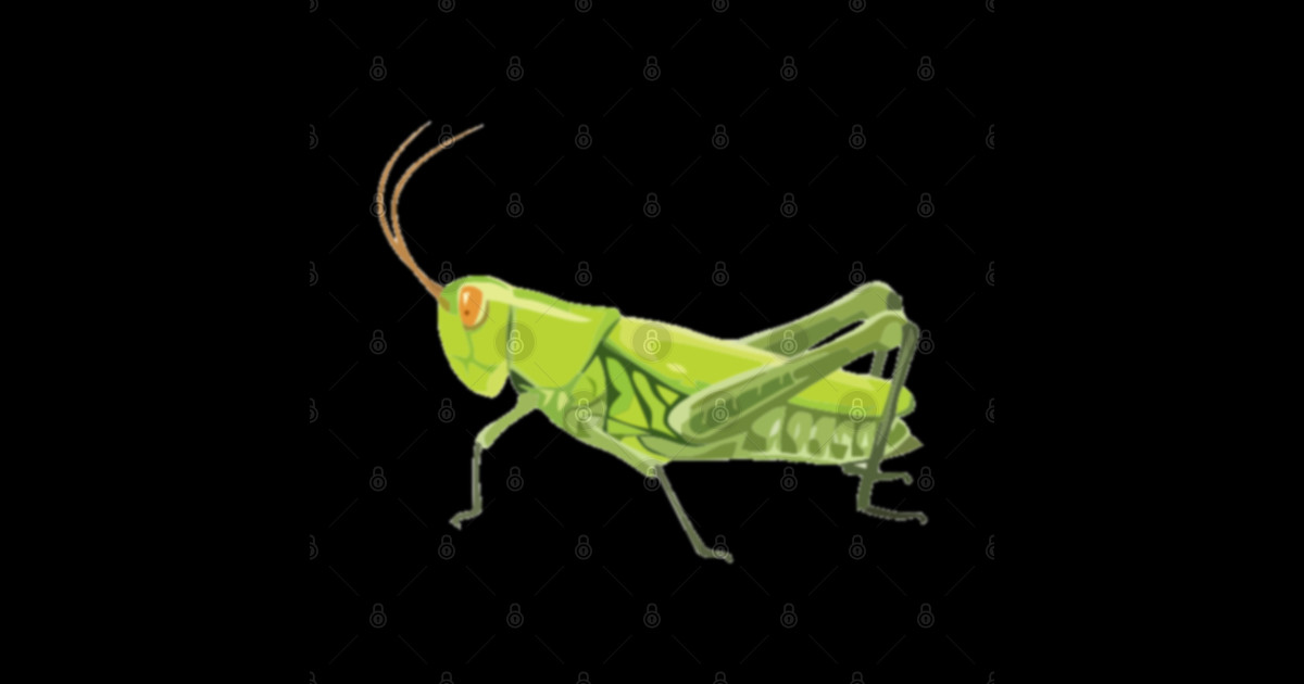 Green Milkweed Grasshopper Digital Painting - Milkweed Locust - Sticker ...