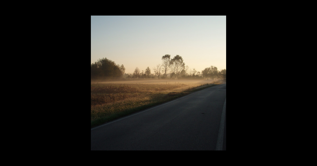 Mist sunset - Mist - Sticker | TeePublic