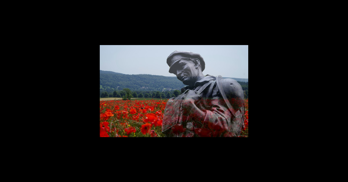 soldier Remembrance Day art - Soldier - Posters and Art Prints | TeePublic