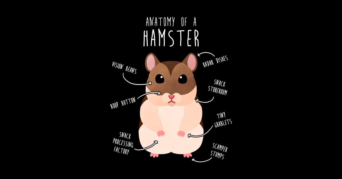 Campbell's Dwarf Hamster Anatomy - Hamster - Sticker | TeePublic