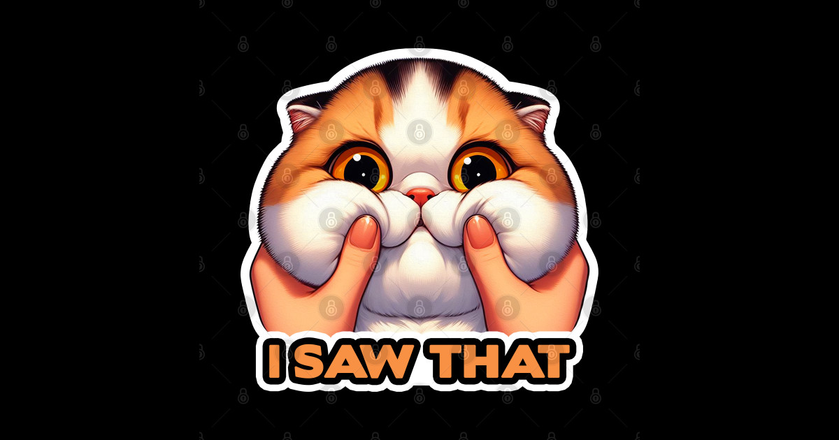 I Saw That meme Exotic Shorthair Cat Squeezed Face - I Saw That ...