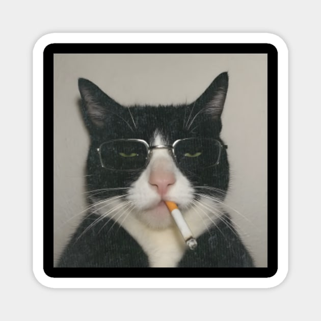 Funny Smoking Cat Meme Cigarette Kitty Gen Z - Smoking Cat - Magnet ...