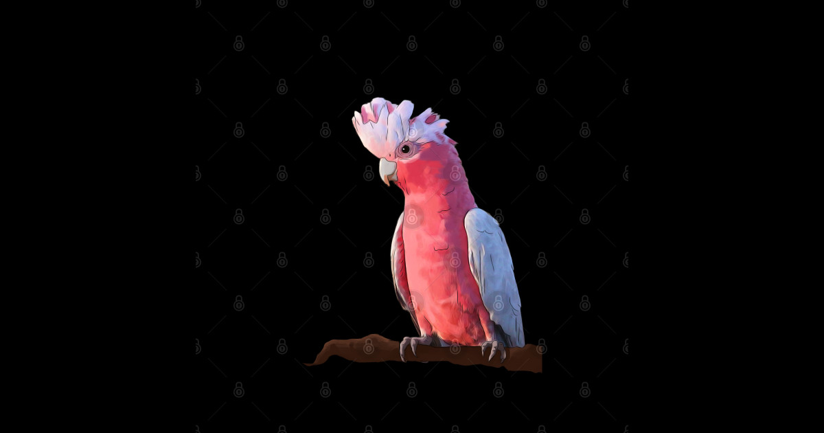 Silly Galah - Galah - Sticker | TeePublic