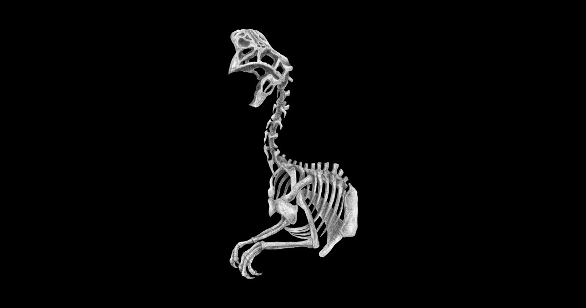 Oviraptor skeleton - Dinosaur Art - Sticker | TeePublic