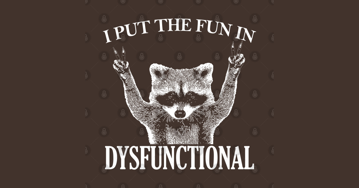I put the FUN in DYSFUNCTIONAL funny raccoon - Dysfunctional Raccoon ...