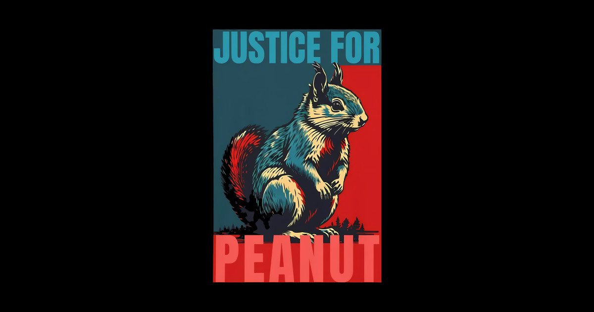 Justice For Peanut, Peanut The Squirrel - Squirrel - Posters and Art ...