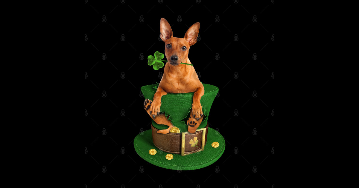 Lucky Irish Miniature Pinscher St Patricks Day Pinscher Dog Shamrock ...