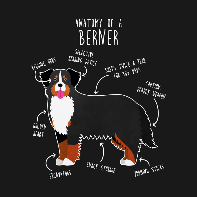 Bernese Mountain Dog Anatomy - Bernese Mountain Dog - T-Shirt | TeePublic
