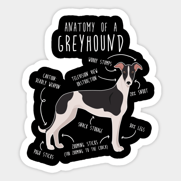 Greyhound Dog Anatomy - Greyhound - Sticker | TeePublic