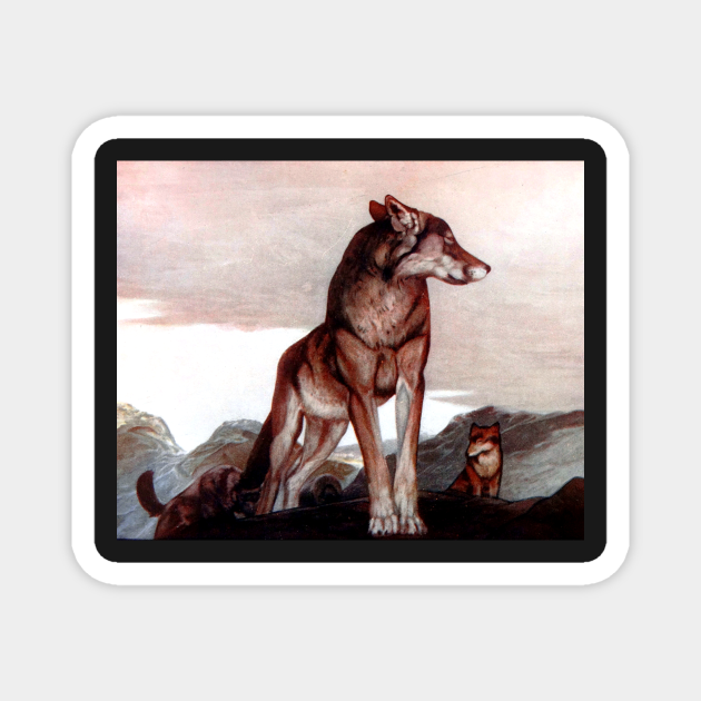 Jungle Book - Akela Lone Wolf - Edward Julius Detmold, Maurice Detmold ...