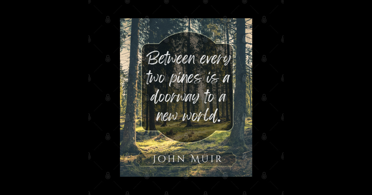 John Muir quote: Between every two pines is a doorway to a new world ...