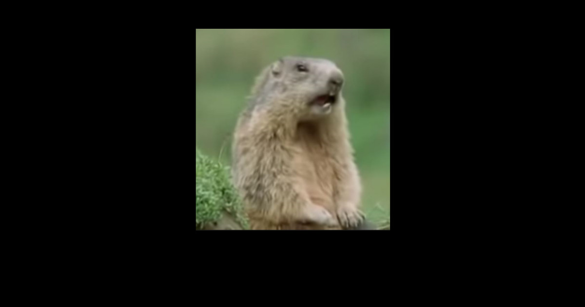 Alan Alan Alan Alan Meme - Alan Meme - Sticker | TeePublic