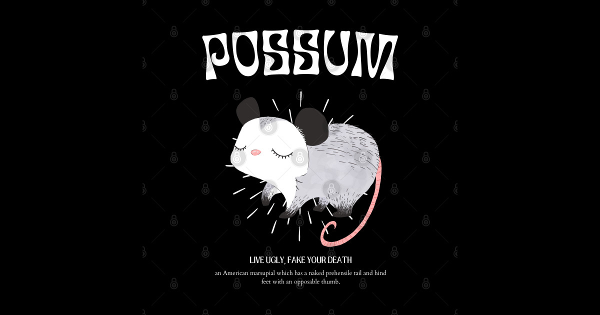 Possum - Possum - Sticker | TeePublic