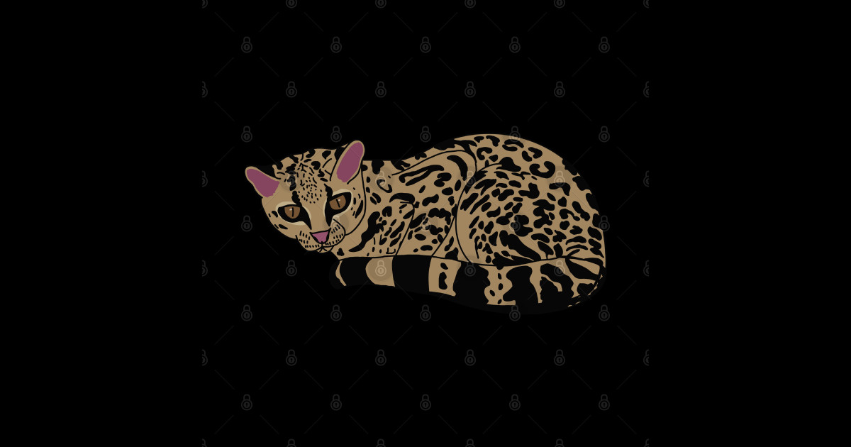 Margay - Cat - Sticker | TeePublic