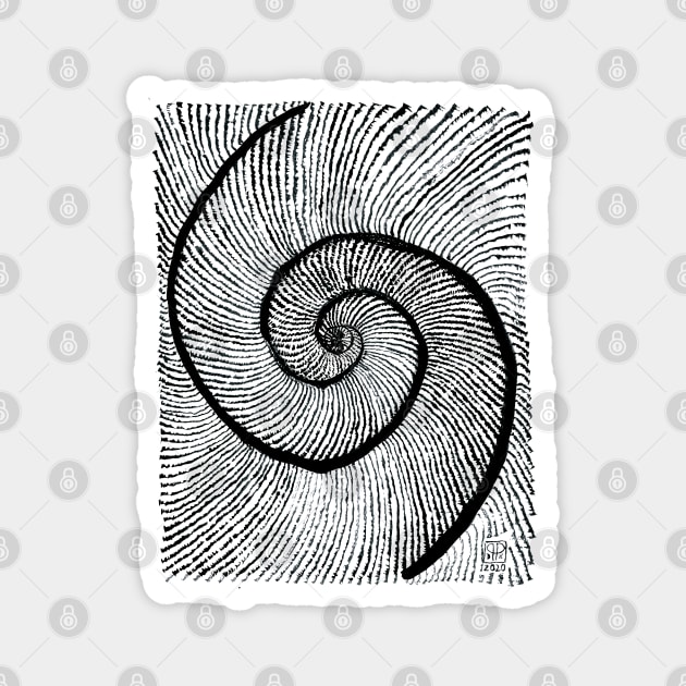 fibonacci spiral shell drawing