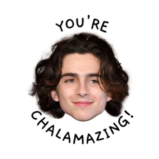 Funny Timothee Chalamet 2 - Timothee Chalamet - T-Shirt | TeePublic