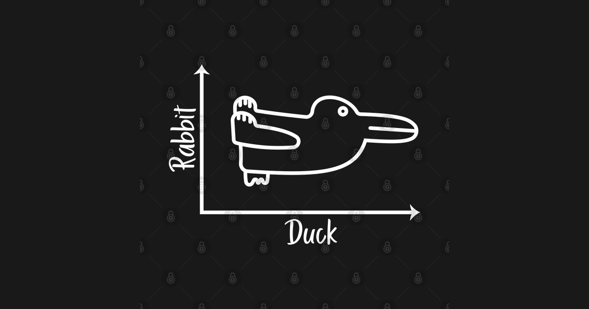 Duck Rabbit Graph - Duck Rabbit Graph - T-Shirt | TeePublic