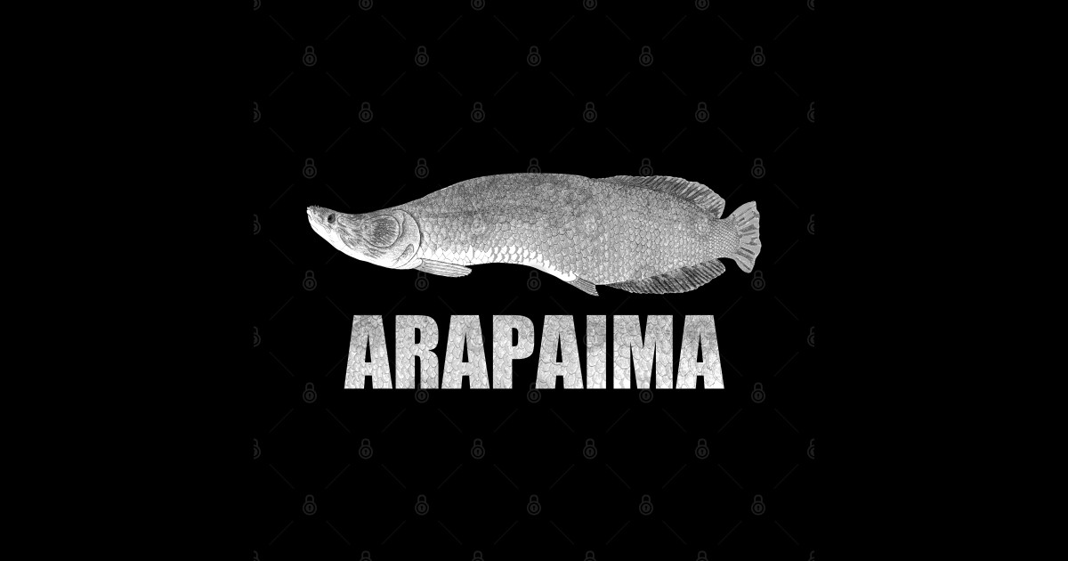 Arapaima Fish - Sea monster - Arapaima - Sticker | TeePublic