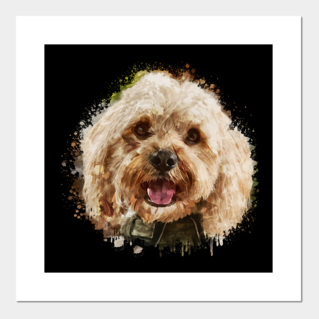 Cavapoo watercolor - Cavapoo - Posters and Art Prints | TeePublic