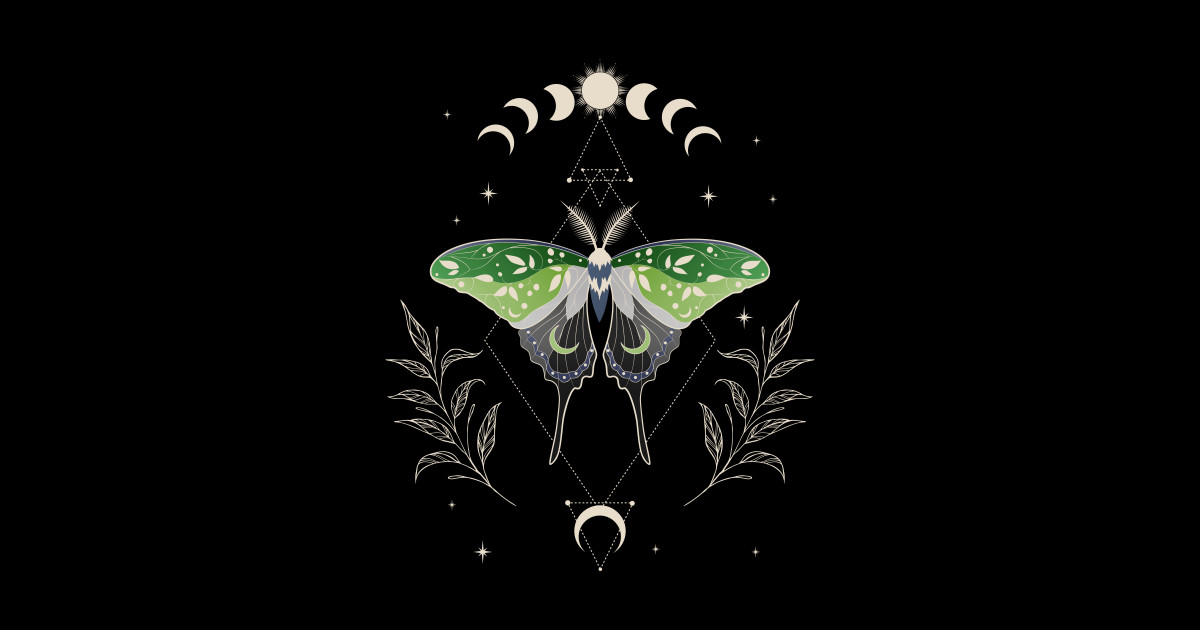 Aromantic Luna Moth Celestial Cottagecore LGBT Pride Flag - Aromantic ...