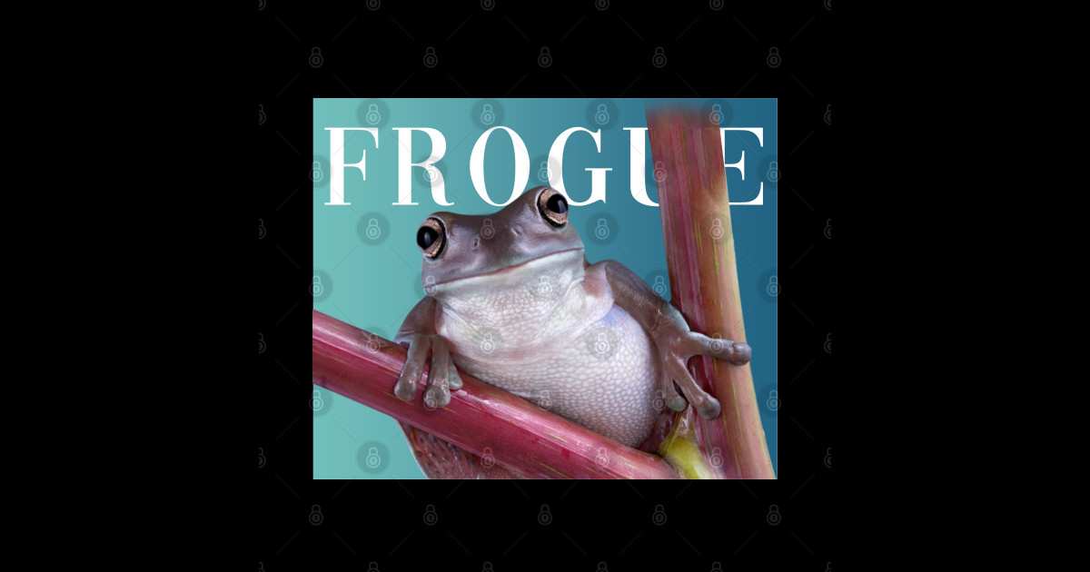 Frogue Magazine Frog Meme - Meme - Sticker | TeePublic