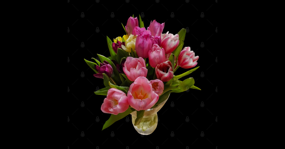 A Vase of Tulips Photo for Tulip fans - Tulips - Magnet | TeePublic