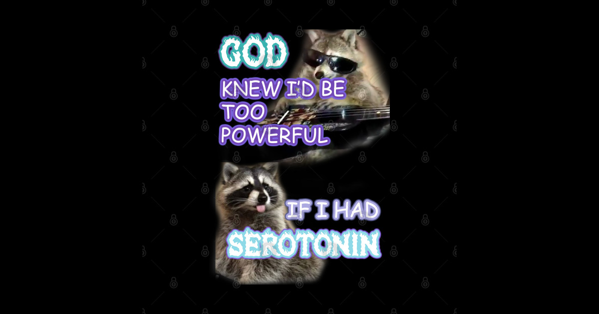 god knew id be too powerful with serotonin raccoon - Meme - Posters and ...