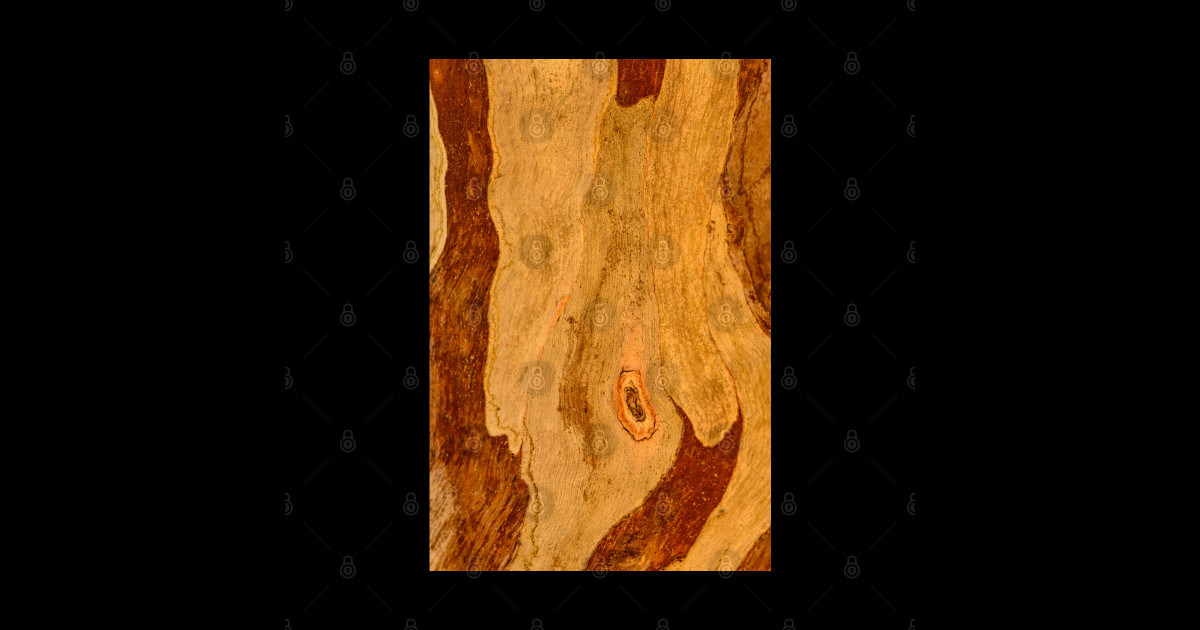 Bark Map 01 - Bark - Sticker | TeePublic