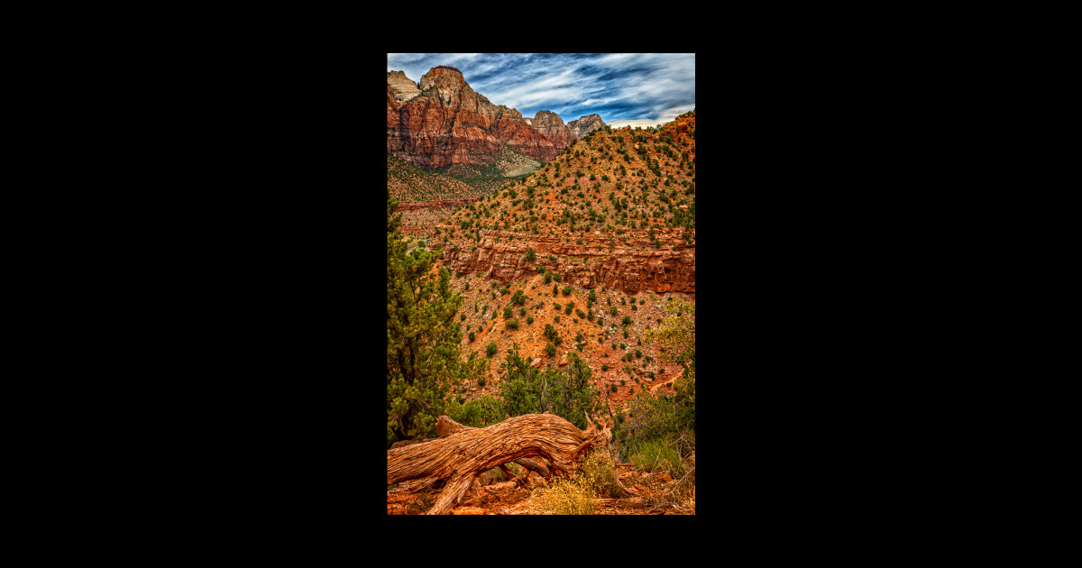 Watchman Trail View, Zion National Park - Watchman Trail Zion National ...