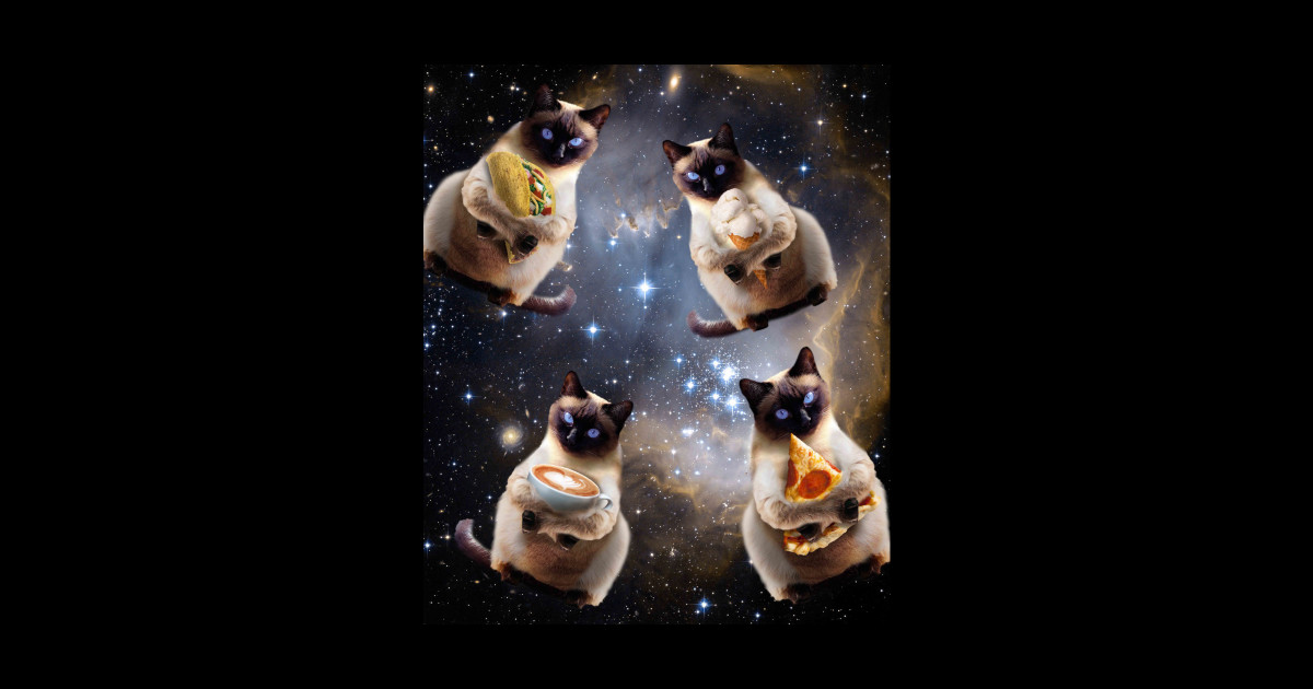 Space Galaxy Cat Pizza Taco Coffee Ice Cream Cats - Space Galaxy Cat ...