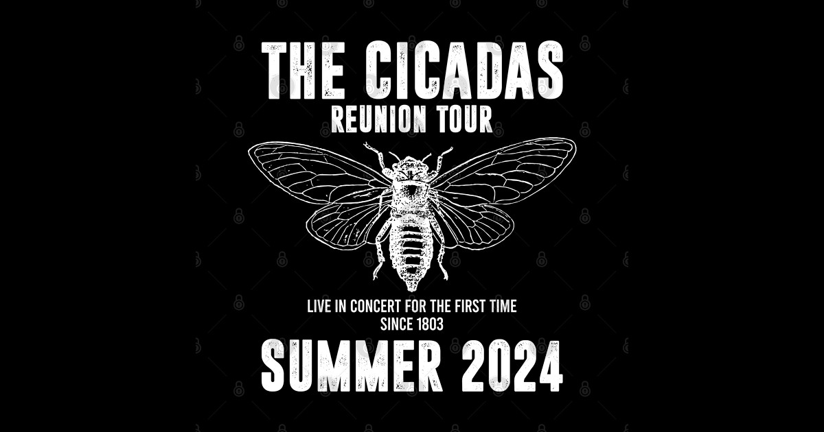 The Cicadas Reunion Tour 2024 - The Cicadas Reunion Tour 2024 - Sticker ...