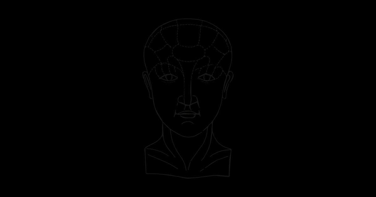 Human drawn face with segmented areas - Human Face - Posters and Art ...