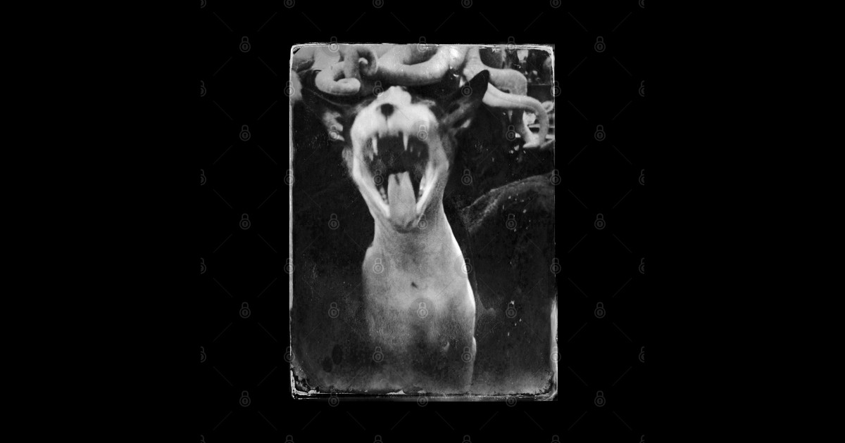 the scream - Cat - Posters and Art Prints | TeePublic