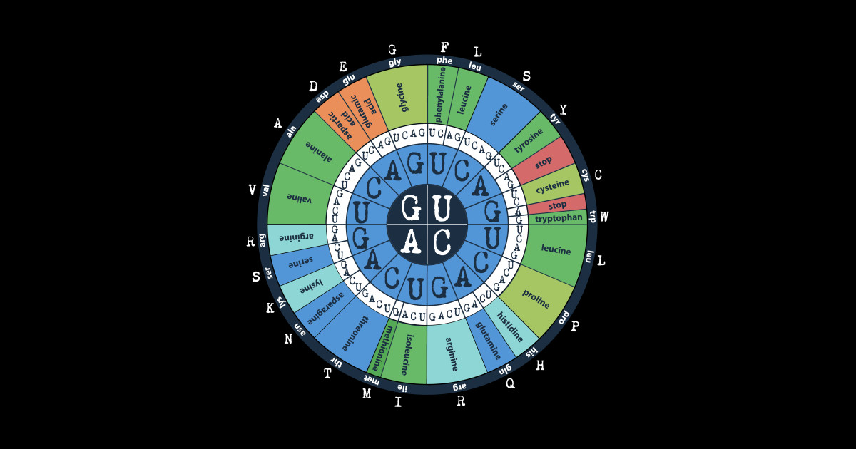 Science Nerds - Codon Table / Amino Acids / Genetic Code - Codon Table ...