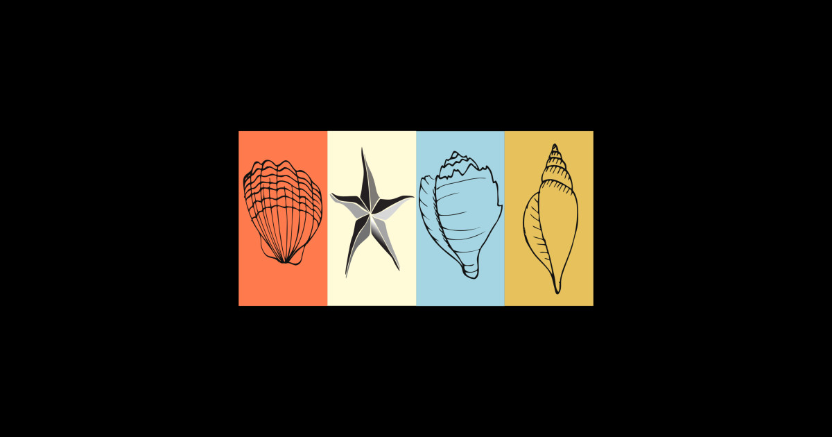 Sea Shells - Sea Shells - Sticker | TeePublic