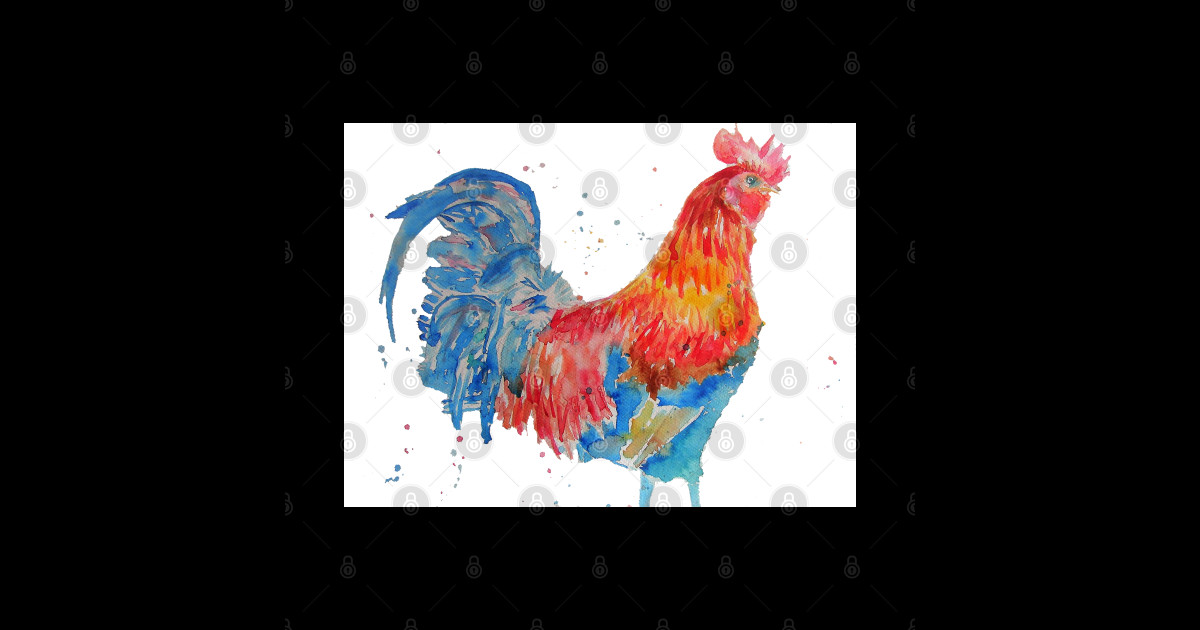 Rooster Chicken Watercolor Painting on White - Roosters - Posters and Art Prints | TeePublic