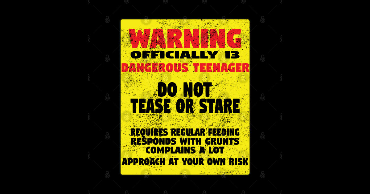 13th Birthday - Warning Officially 13 Dangerous Teenager - 13th ...