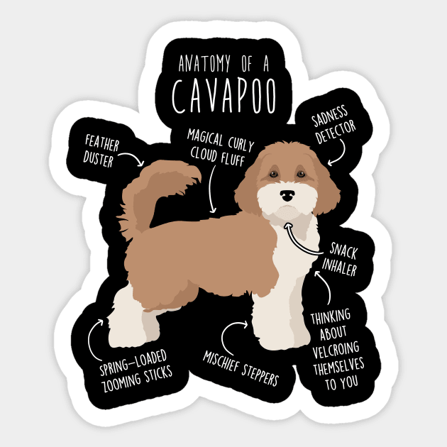 Parti Cavapoo Dog Anatomy - Cavapoo - Sticker | TeePublic