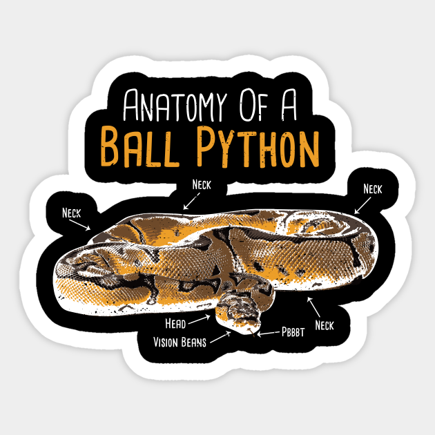 Anatomy Of A Ball Python - Snake - Sticker | TeePublic