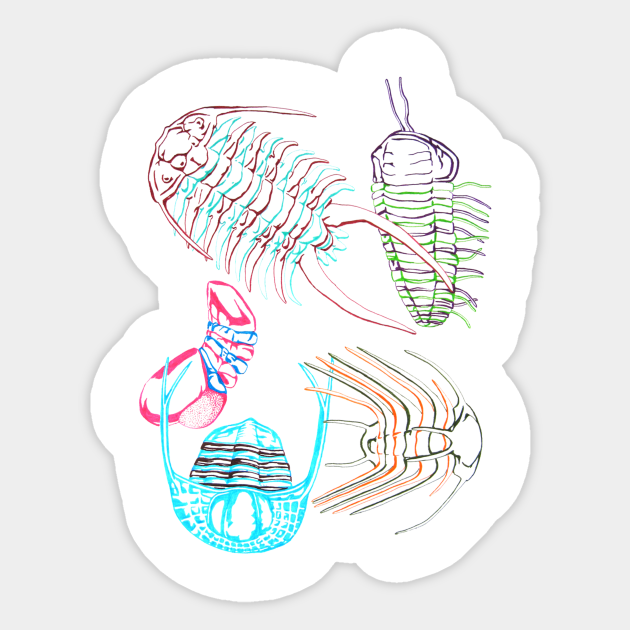 Ordovician Era Trilobites - Trilobite Fossils - Sticker | TeePublic