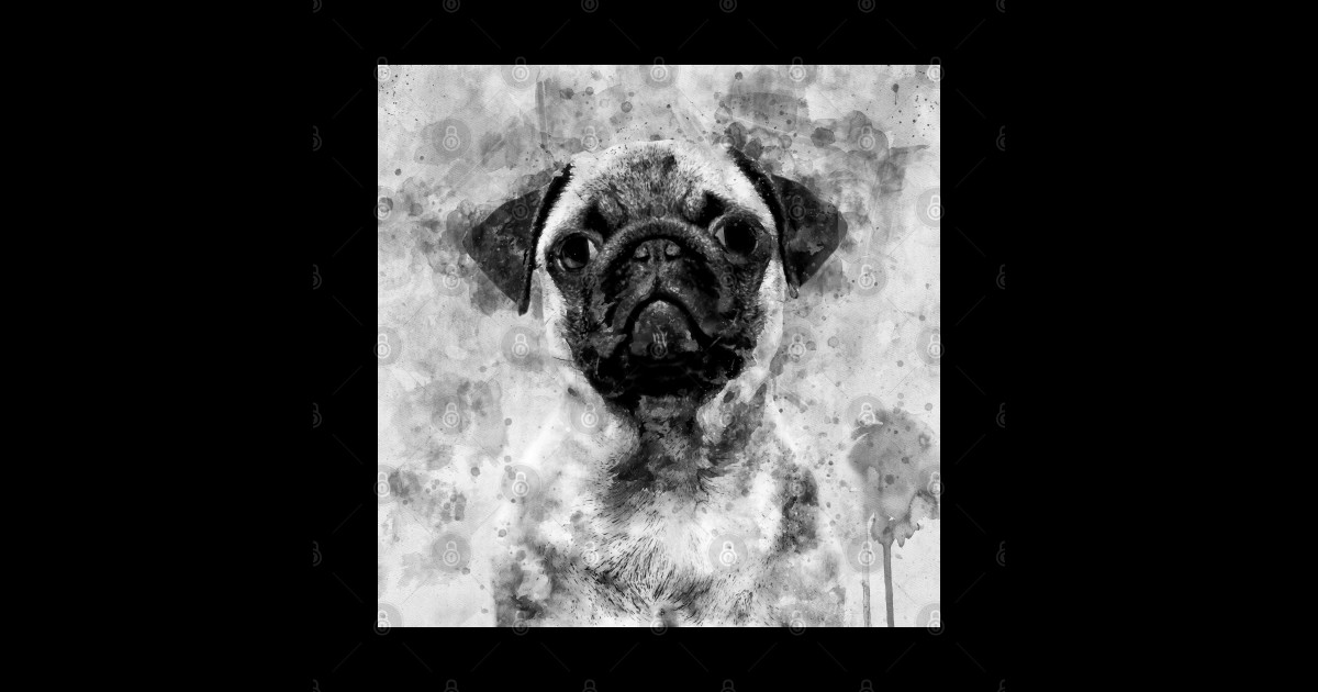 Pug Dog Watercolor Portrait black and white 01 - Pug - Sticker | TeePublic