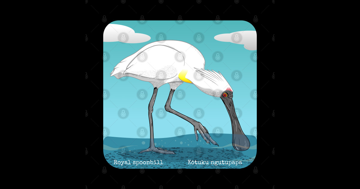 Royal spoonbill Kōtuku ngutupapa - Spoonbill - Sticker | TeePublic