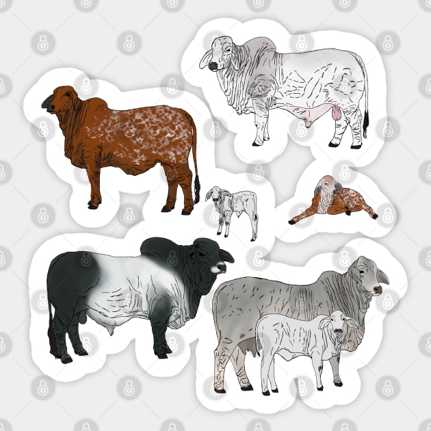 Brahman Cattle Transparent - Brahma - Sticker | TeePublic